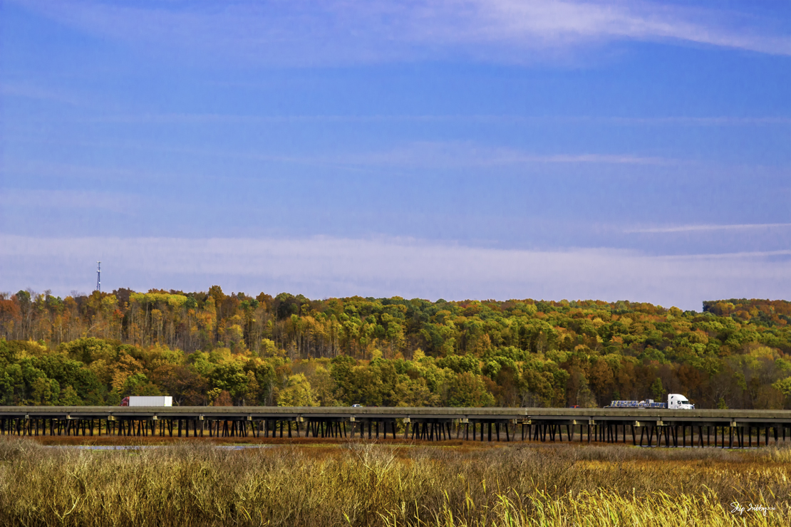 The Legend of Geneva Swamp by Skip Tribby - 🇺🇸 🇮🇱 · 365 Project