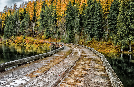 Half Circle Bridge by Karly · 365 Project