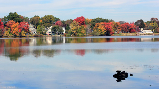 Hardy Pond by Thom Mitchell · 365 Project