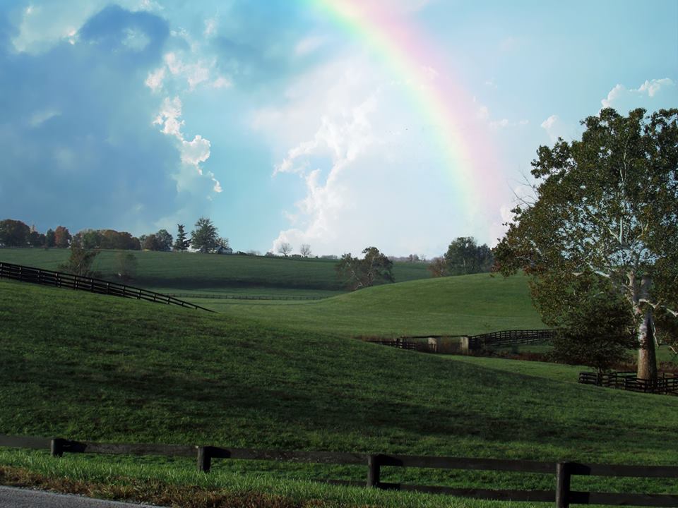 Kentucky Rainbow by Randy Lubbering · 365 Project