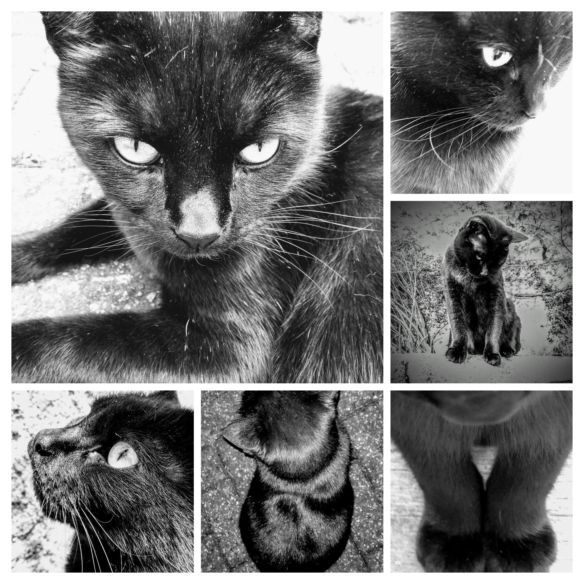 Arky I by 4rky · 365 Project