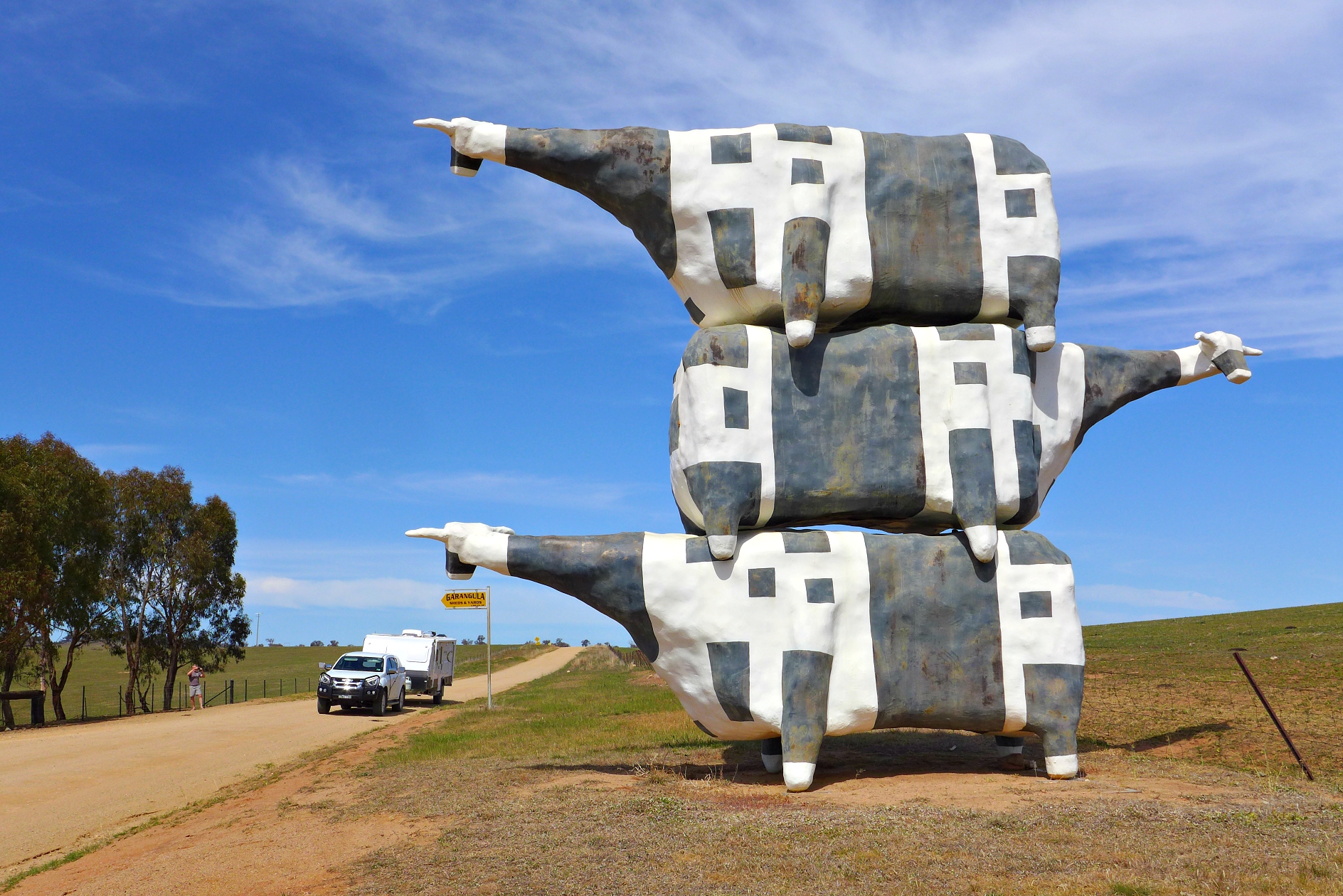 Stacked Cows by Linda E · 365 Project