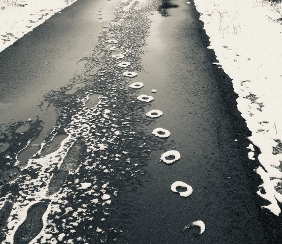 alien snow circles by amyK · 365 Project