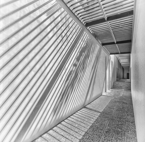 noon shadows by Jerome · 365 Project