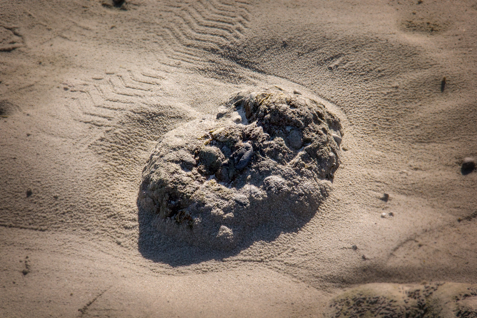 Old Stone Face by Jay Butterfield · 365 Project