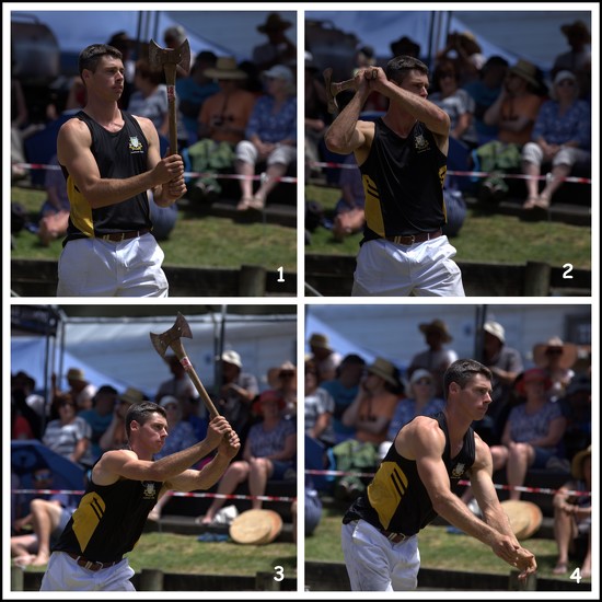 The Art of Axe Throwing by Dianne · 365 Project