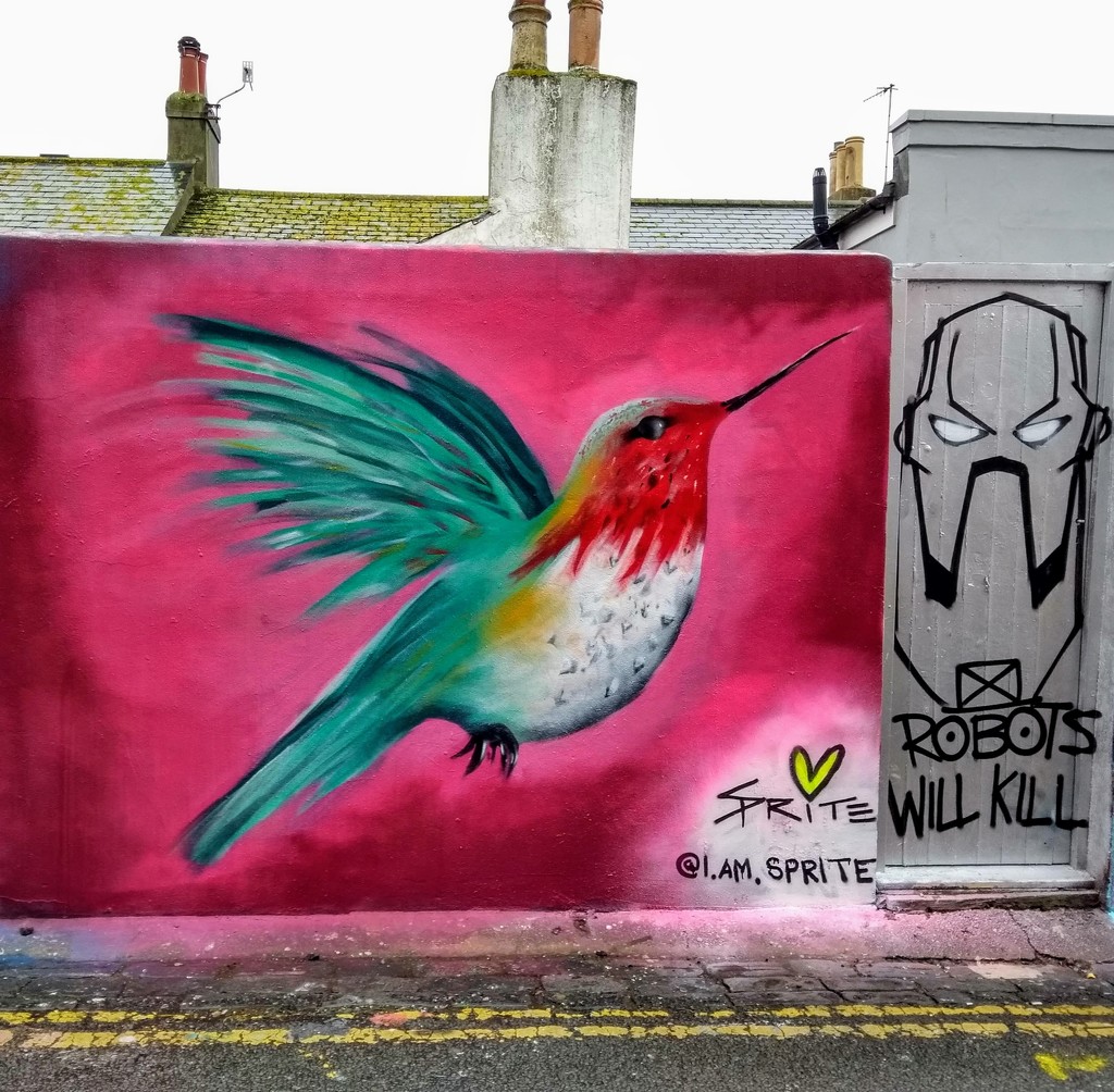 Hummingbird by 4rky · 365 Project