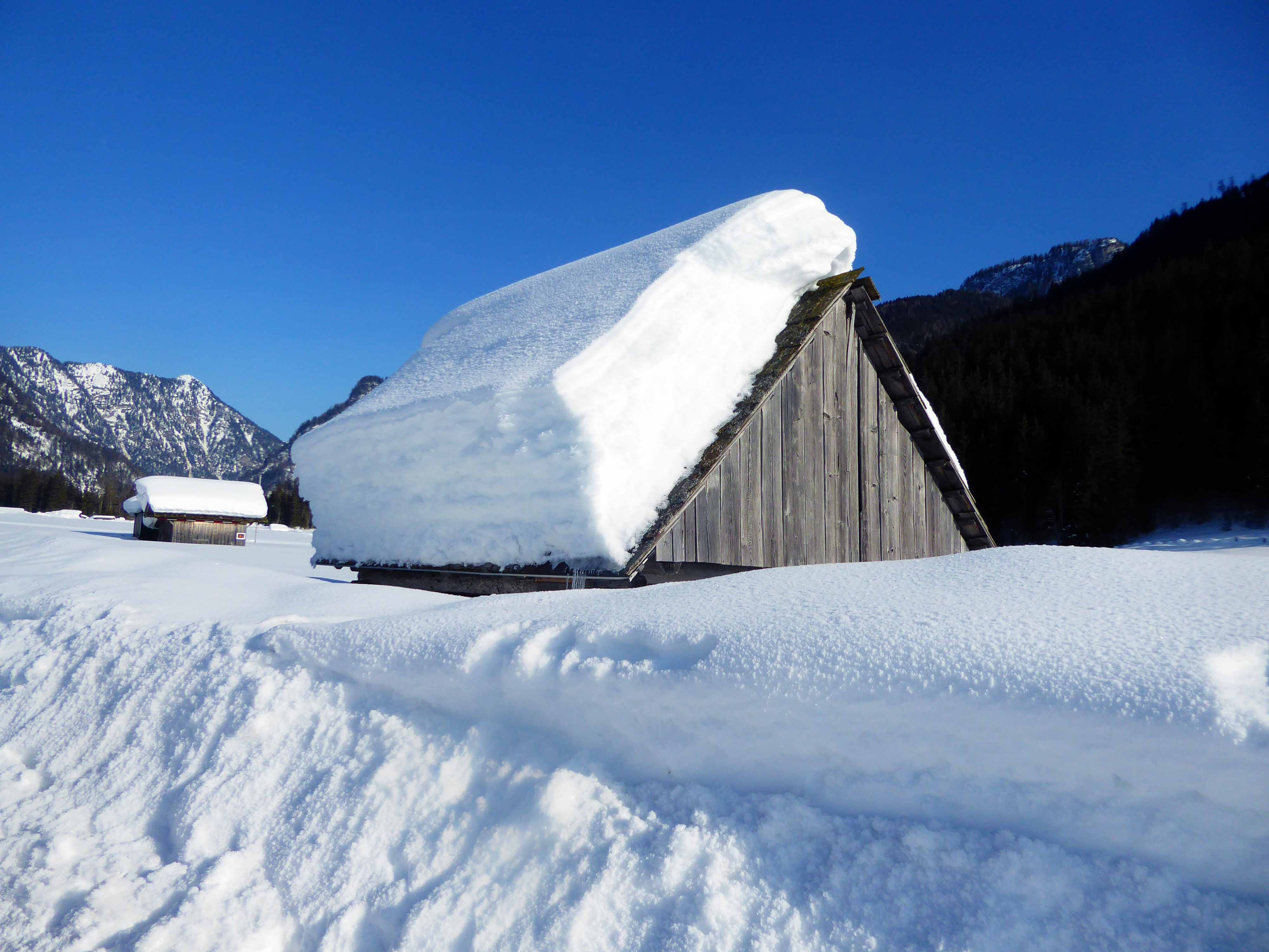 Snow Layers by Catherine P · 365 Project