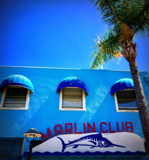 The Marlin Club by CC Folk · 365 Project