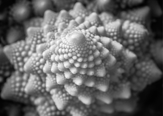 Fibonacci Food by Rosie Kerr · 365 Project