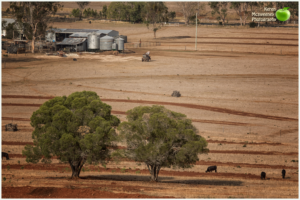 Dry country by Keren · 365 Project