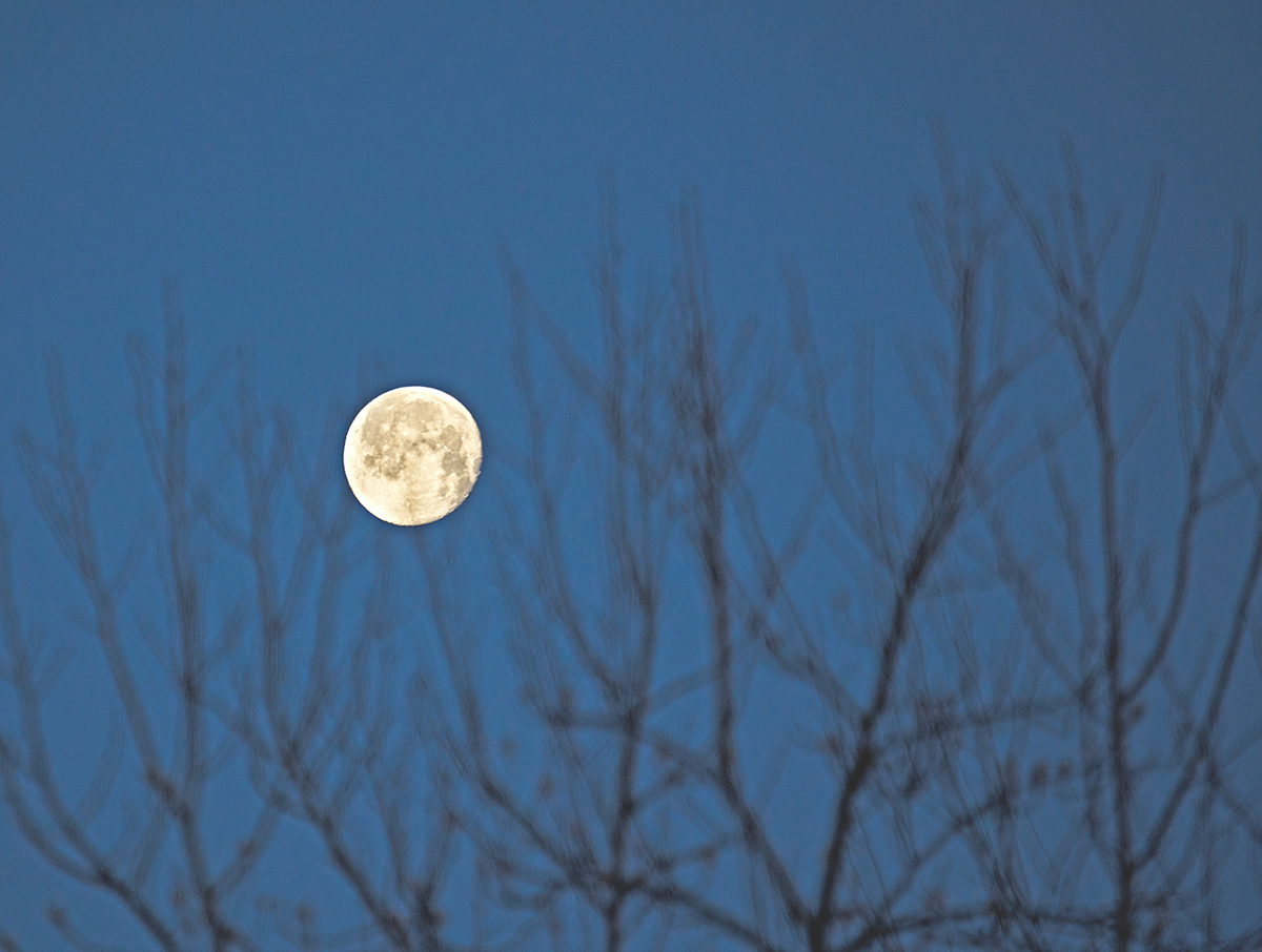 Low Moon by Joanne Diochon · 365 Project
