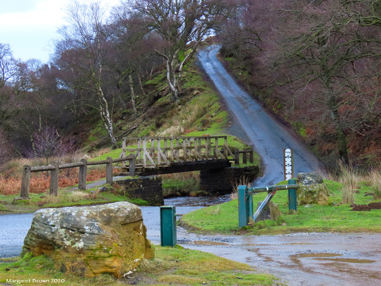 Hob Hole by Margaret Brown · 365 Project