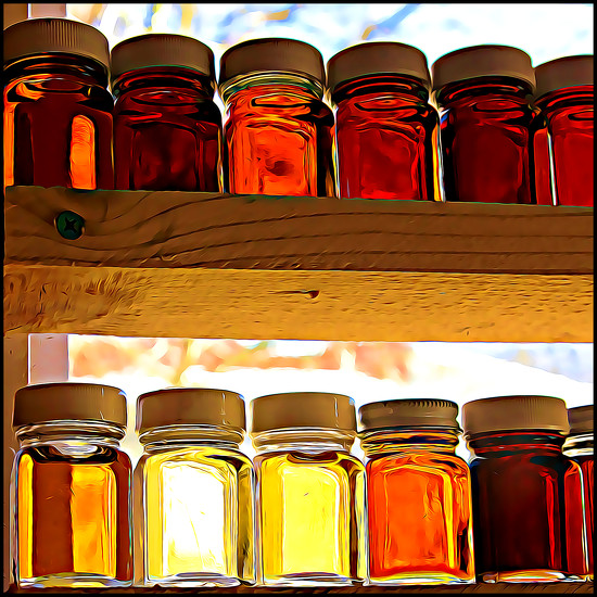 Syrup Samples by Ann H. LeFevre · 365 Project