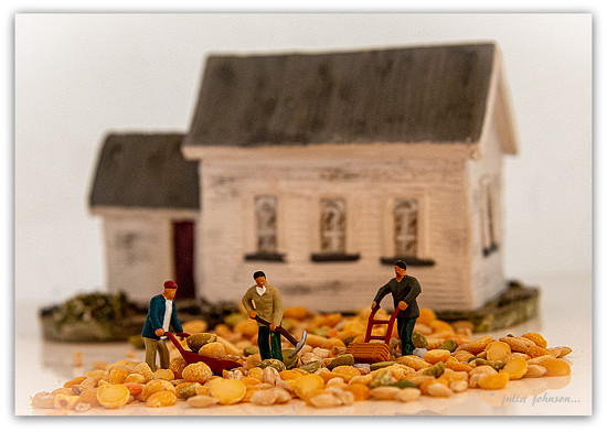 Working Bee at the Local Church... by julia · 365 Project