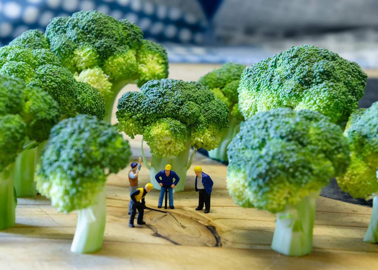 In the Broccoli Forest by Sally Ings · 365 Project