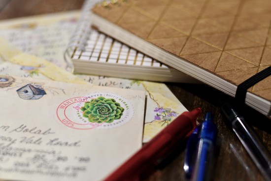 Mail Delivery by Pigeons Farm · 365 Project