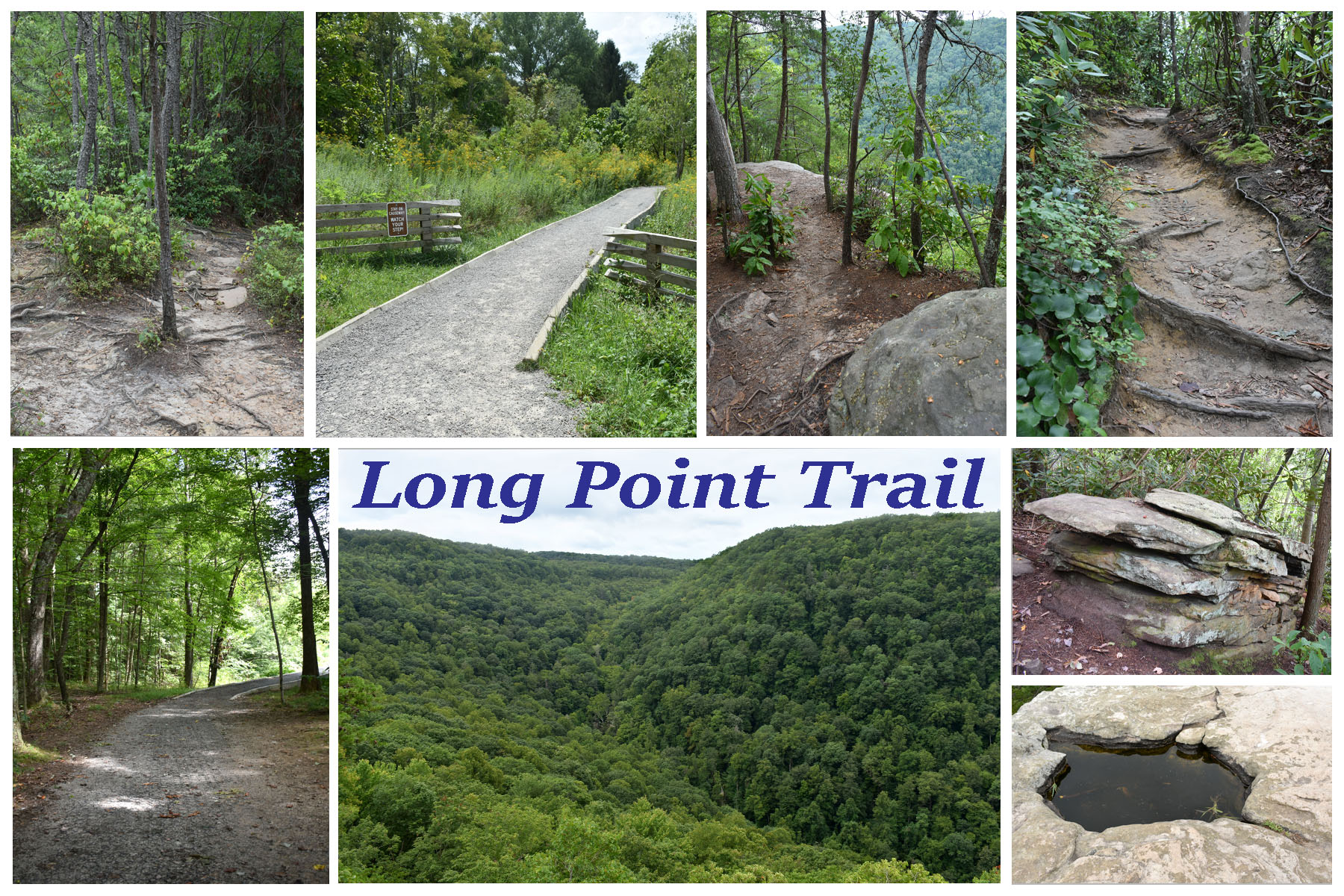 Long Point Trail, New River Gorge, WV by Lisa Poland · 365 Project
