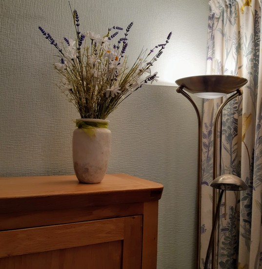 Flower feature by Sarah Bremner · 365 Project