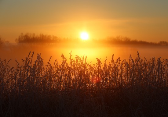 Hello Mr Sunshine by *lynn · 365 Project