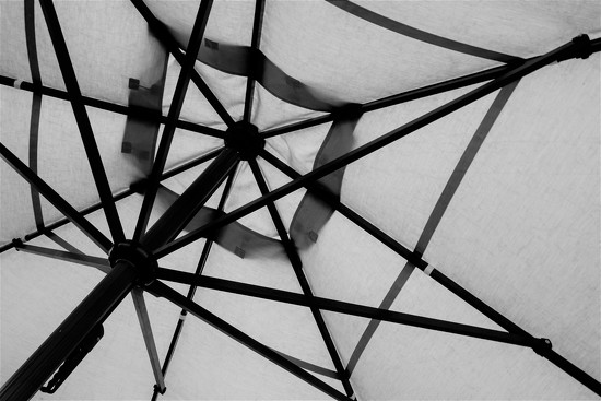 Shelter by 4rky · 365 Project