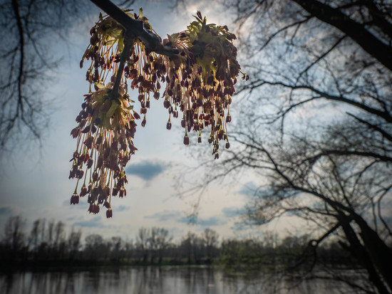 Sunny spring day by haskar · 365 Project