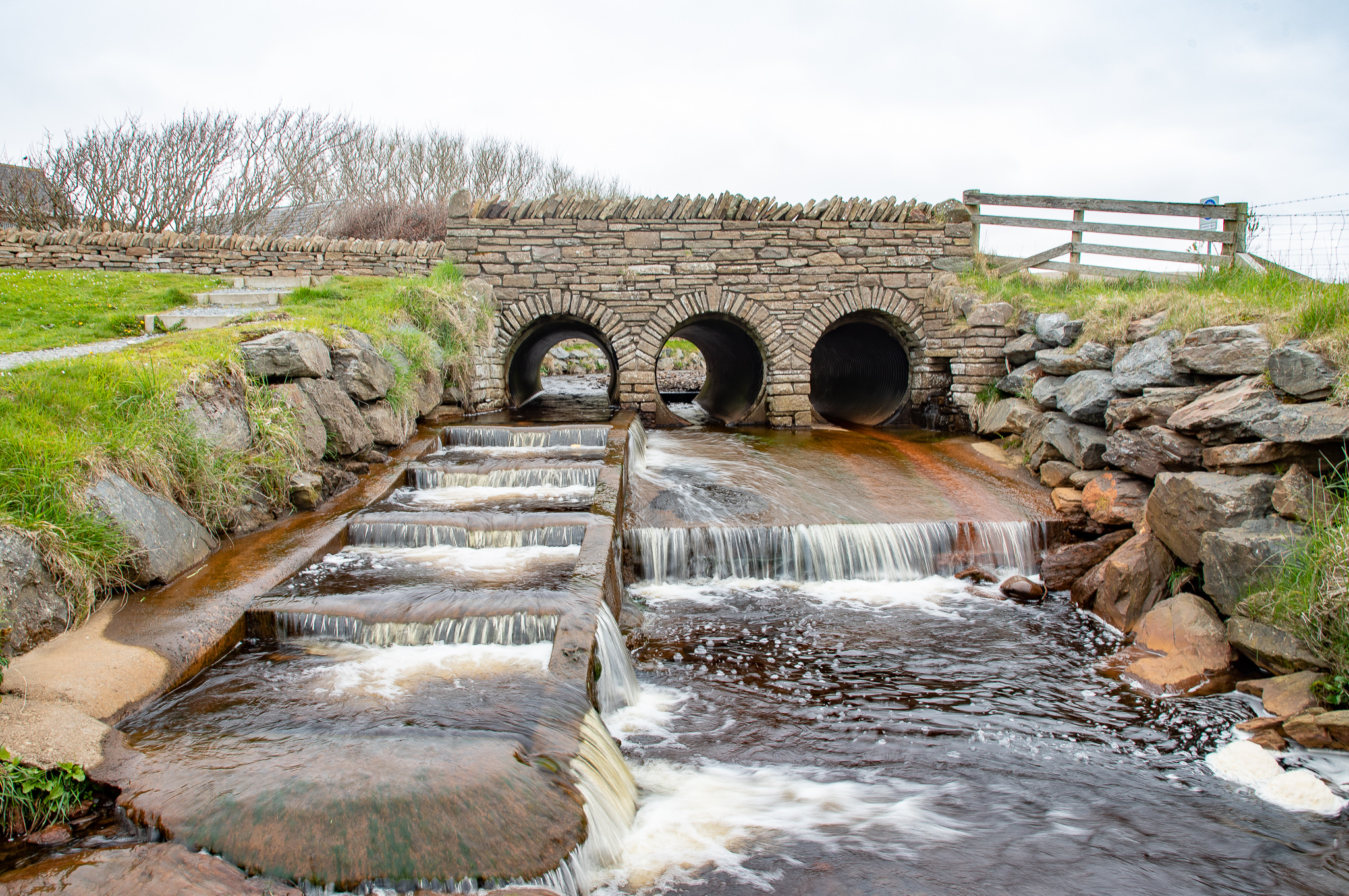Fish Ladder by Richard Lewis · 365 Project
