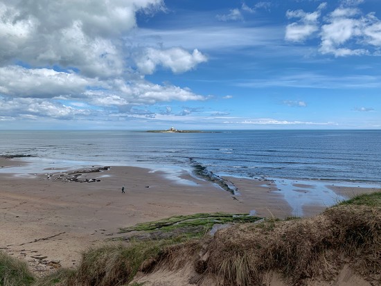 Amble beach by Pat Knowles · 365 Project
