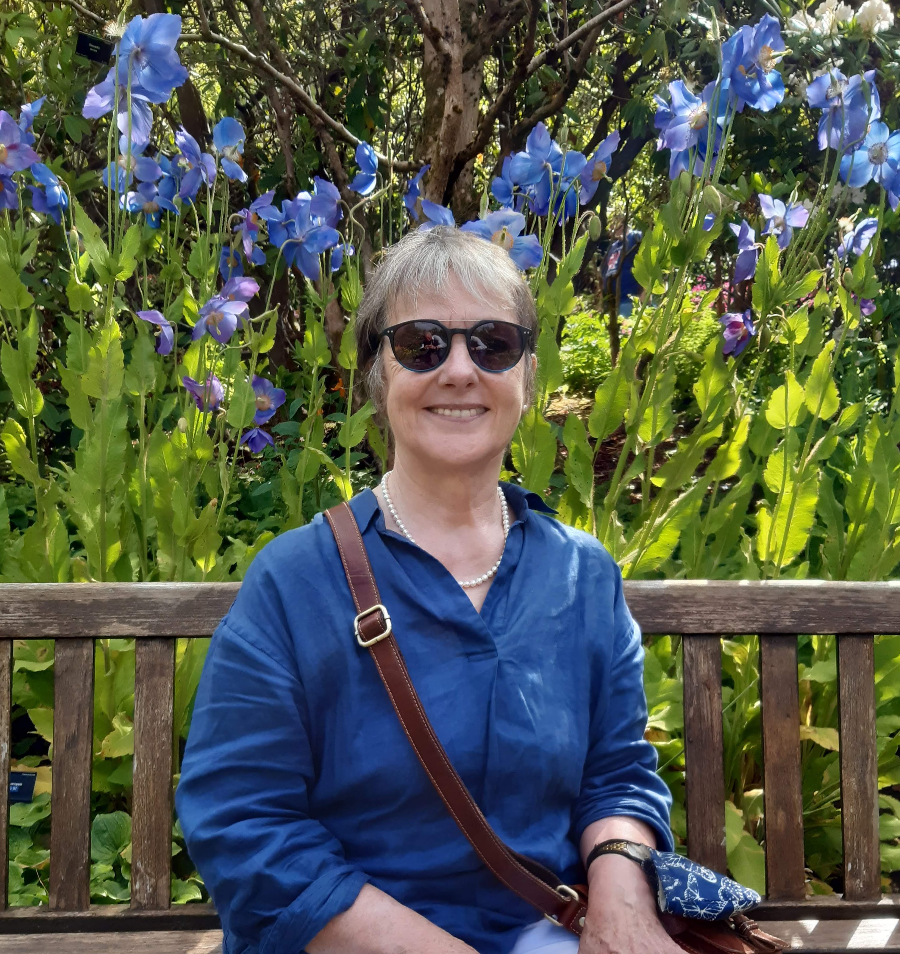 Blue poppies at Branklyn by Sarah Bremner · 365 Project