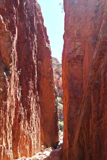 Day 7: Standley Chasm - Gap of Water by Poppo Livy · 365 Project