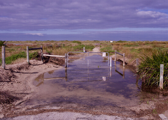 Limited Beach Access Down This Path _7220745 by Merrelyn · 365 Project