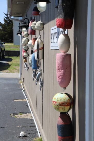 Recently Popular · 365 Project