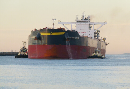 Golden Courage by Babs · 365 Project