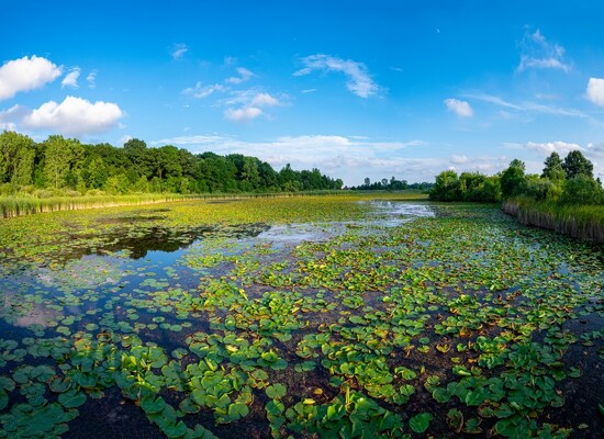 A panoramic shot of the Crosswinds Marsh. by Mark · 365 Project