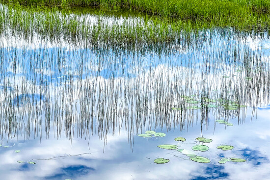 Pond and Sky Combined by KWind · 365 Project