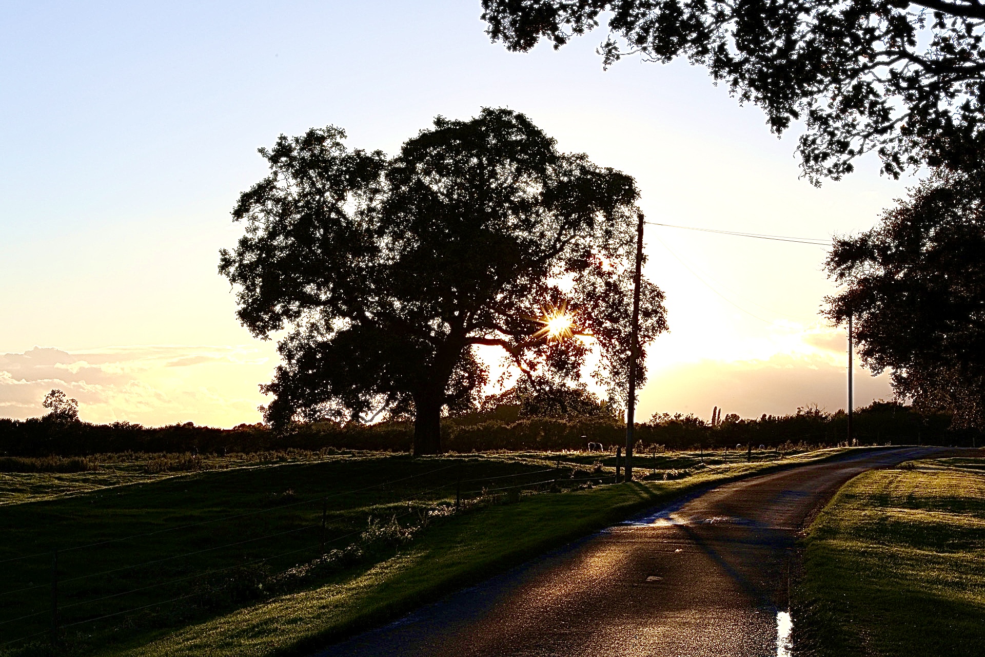 Buslingthorpe by Carole Sandford · 365 Project