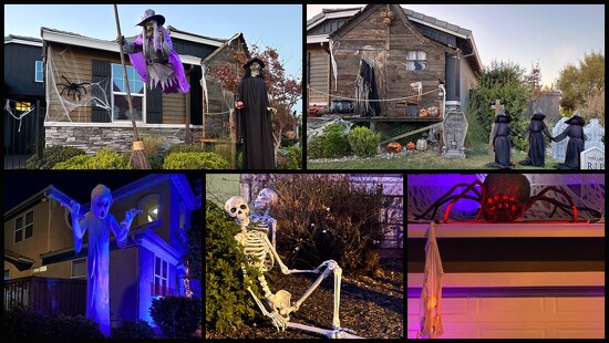 Happy Halloween by Shutterbug · 365 Project