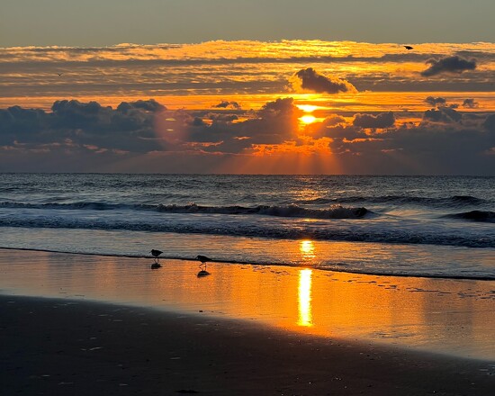 Same beach, different morning, different light by Nada · 365 Project