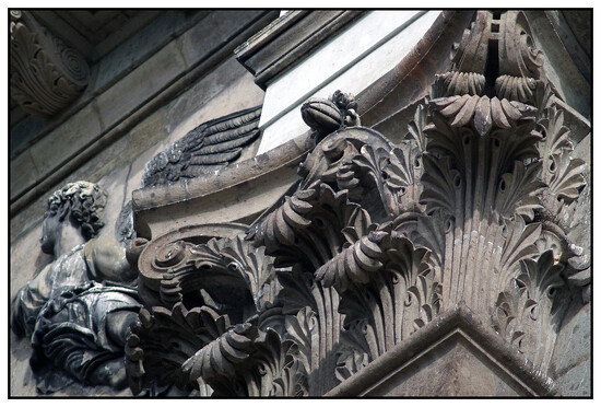 1121-P4566 by borof · 365 Project