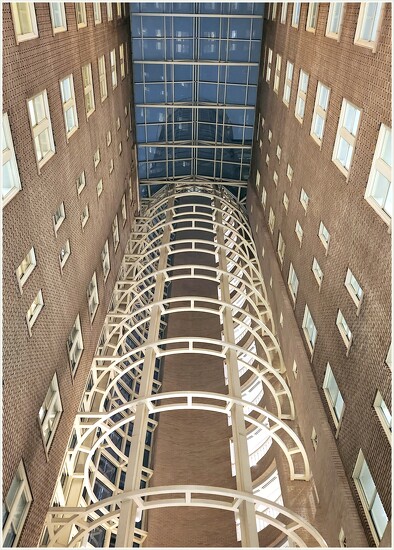 Look Up! by Mallory · 365 Project