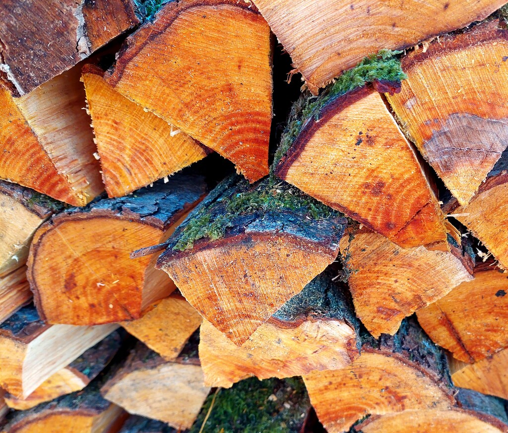 Wood pile by Sam Palmer · 365 Project