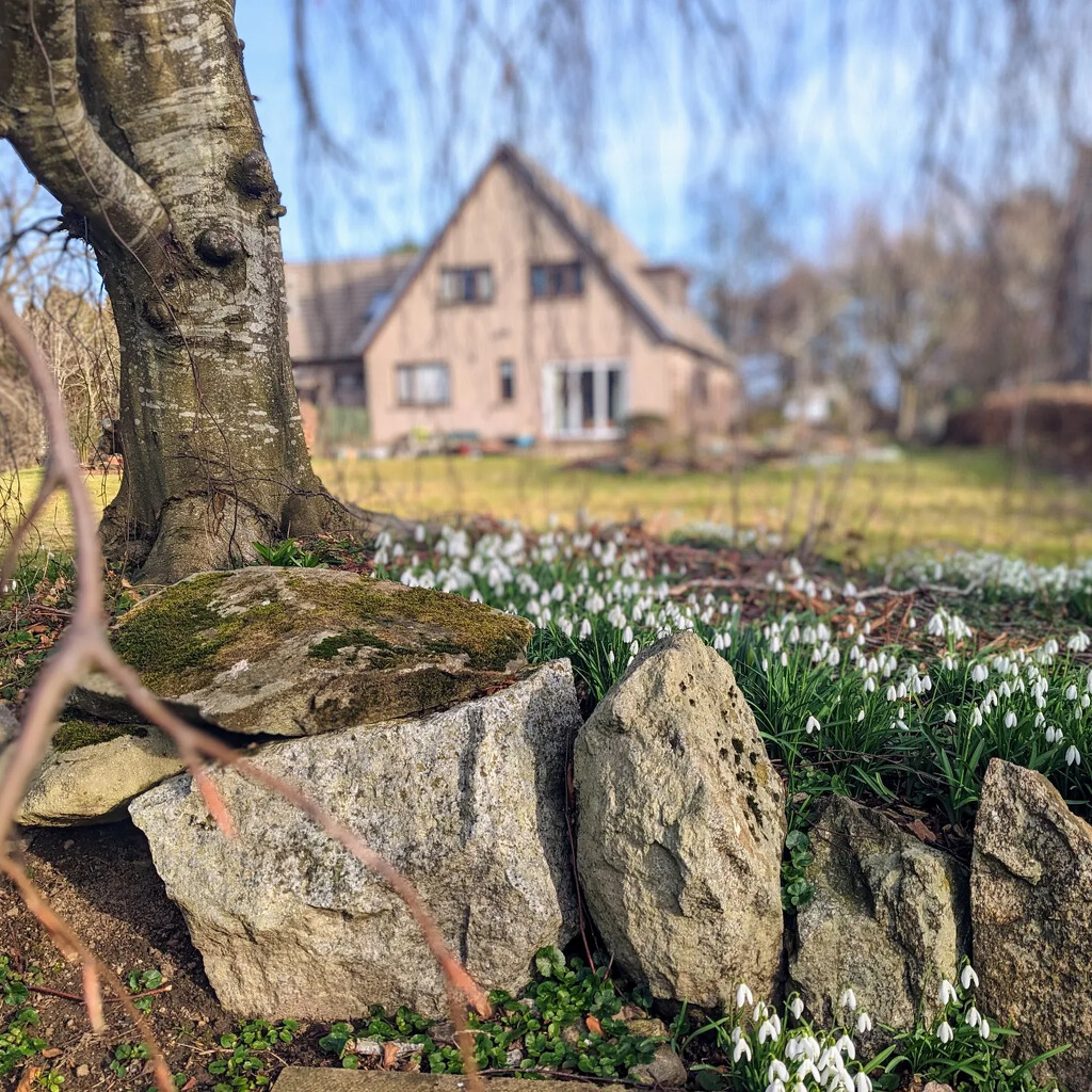 Down at the bottom of the garden by Sarah Bremner · 365 Project