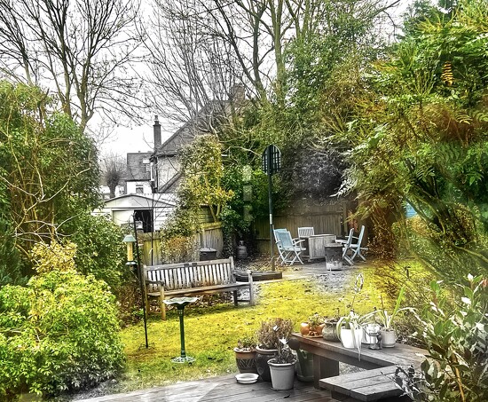 One Very Sad Garden - 22 by Renee Salamon · 365 Project