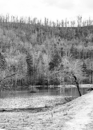 A view of Broughton Pond by Kathy · 365 Project
