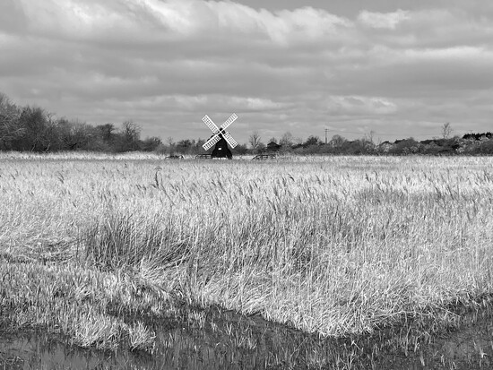 Windmill in the fens by Liz Gooster · 365 Project