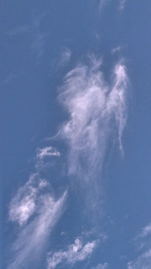 Ascending angels... by Mags · 365 Project