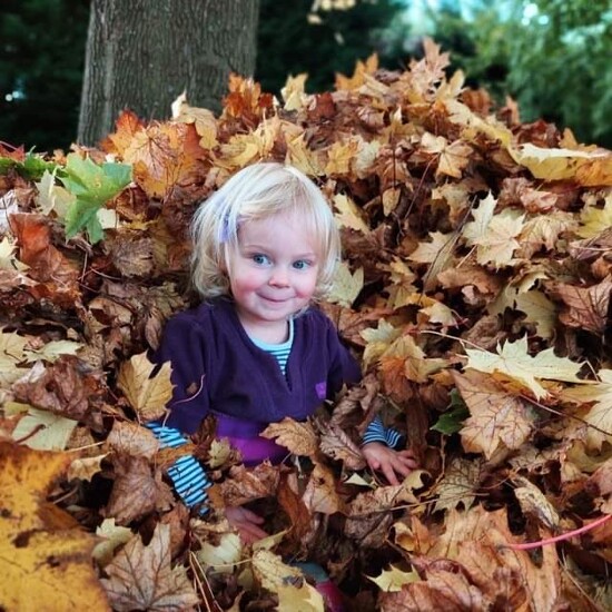 Autumn by Pat Knowles · 365 Project