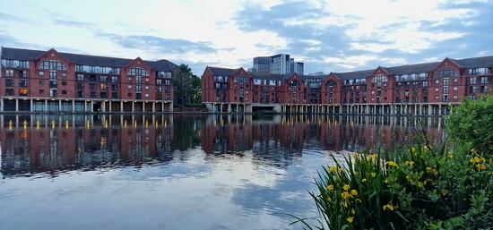 Reflections by Jan Barrett · 365 Project