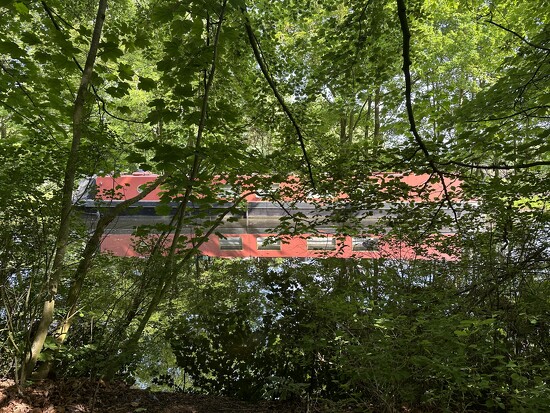 Reflections by Wendy Stout · 365 Project