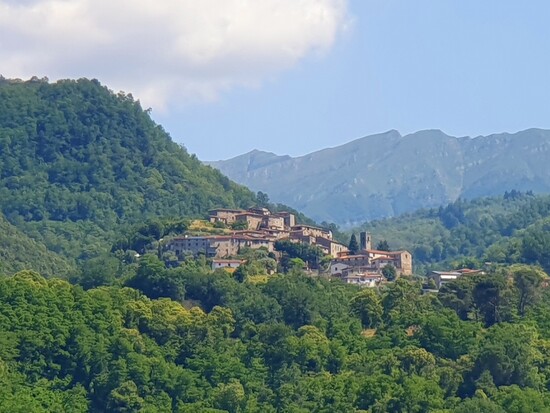 Lucignana in all its greenery by william wooderson · 365 Project